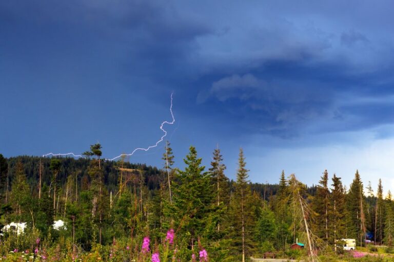 16 Longest Things Ever Measured