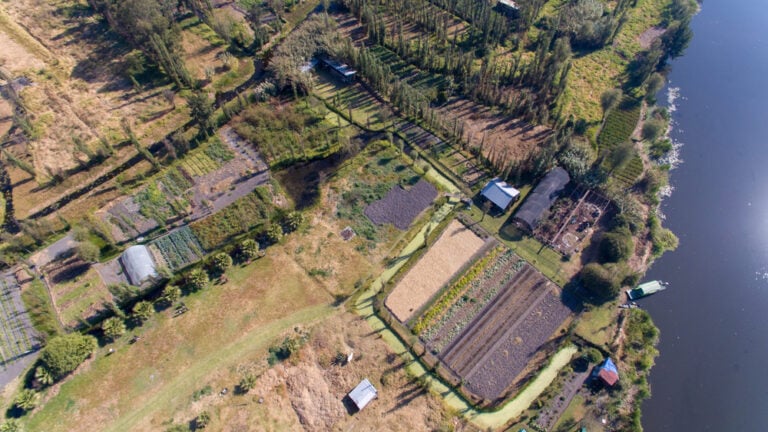 15 Ways the Aztecs Built Floating Gardens