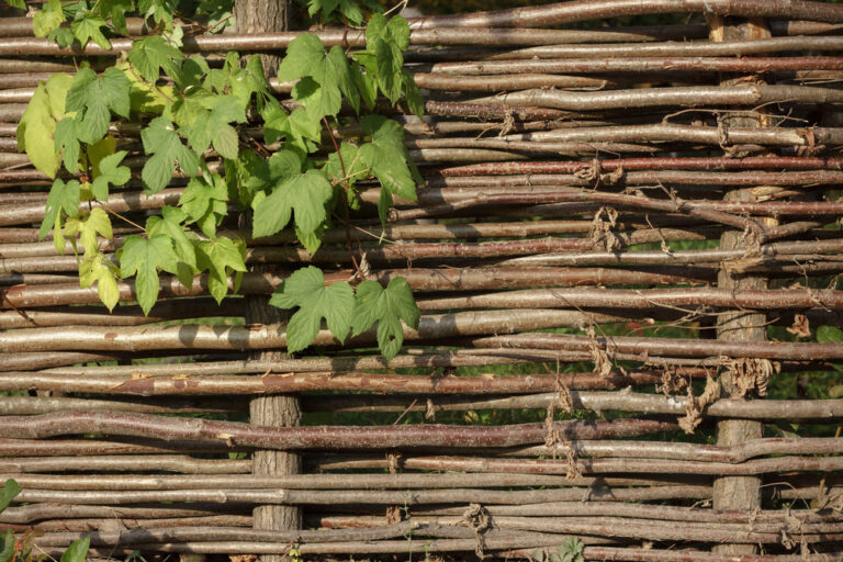 15 Ways the Aztecs Built Floating Gardens