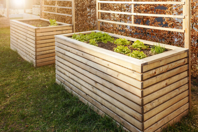15 Ways the Aztecs Built Floating Gardens