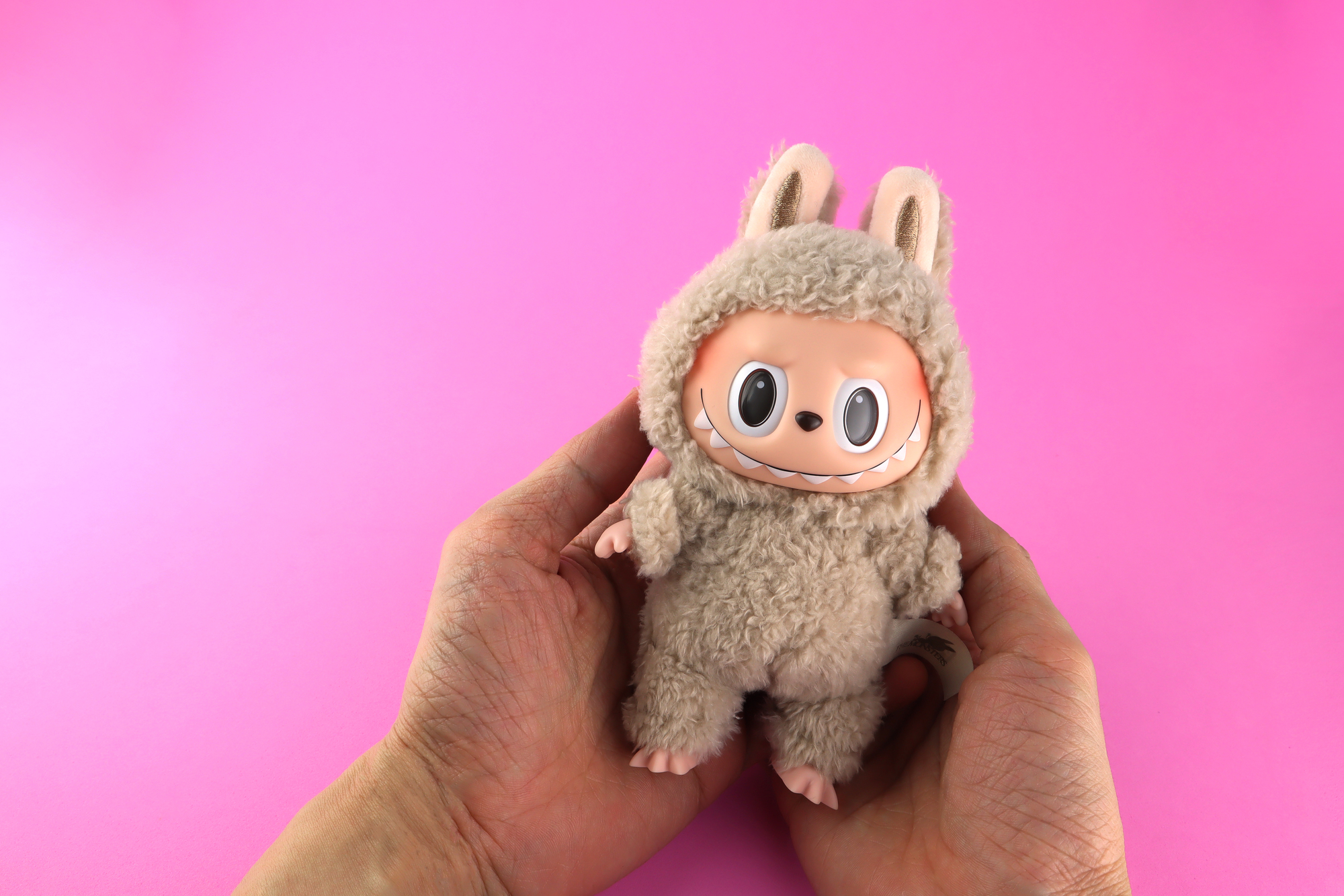 17 Things You Need to Know About the Labubu