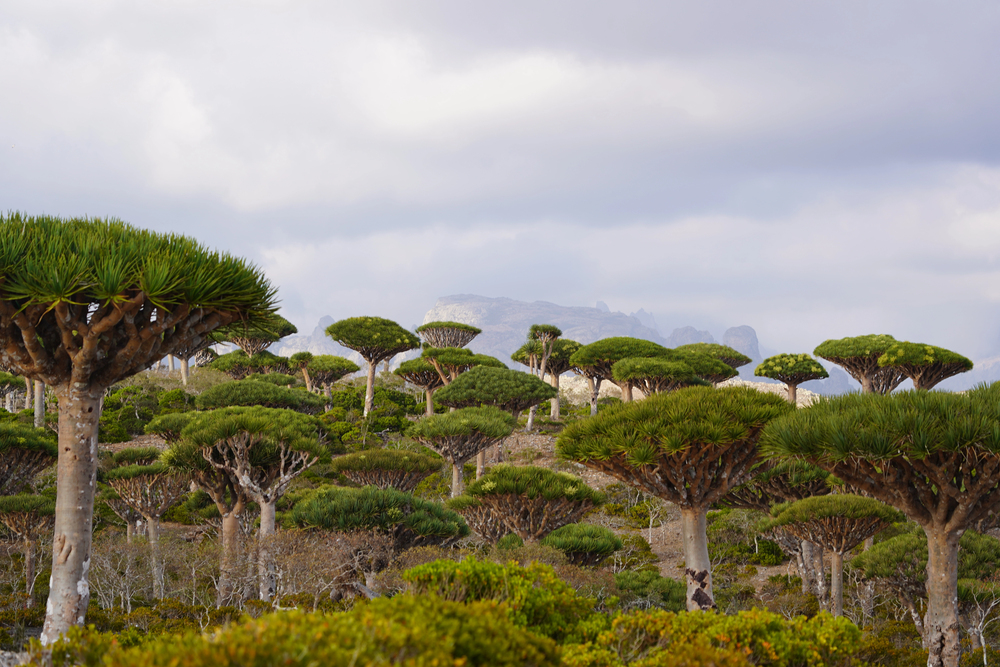 16 rare natural wonders around the globe