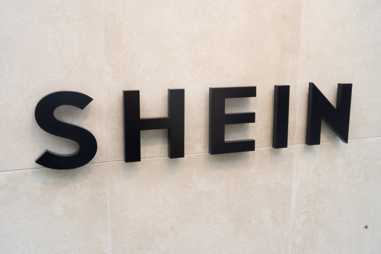 16 History of Shein Brand Growth