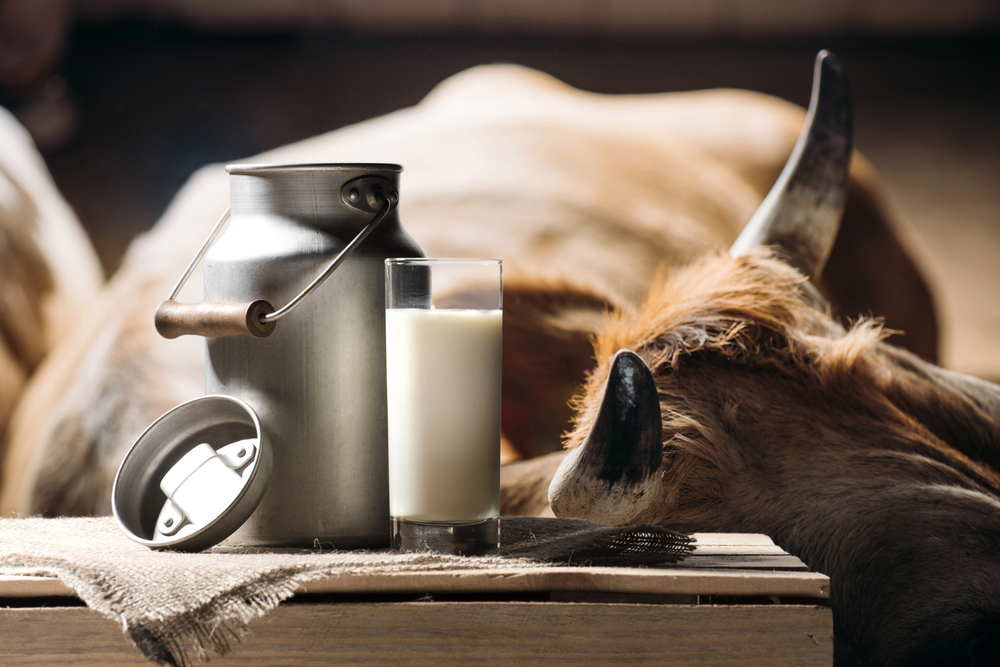 Animal Milk Facts You'll Never Believe Are Real