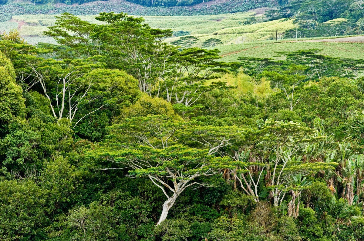 The Most Biodiverse Places on Earth