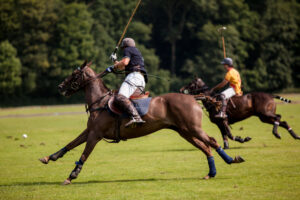 Sports That Directly or Indirectly Involve Animals