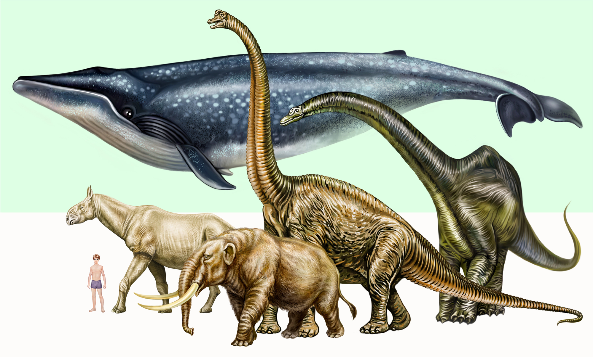 Biggest Extinct Animals Ever