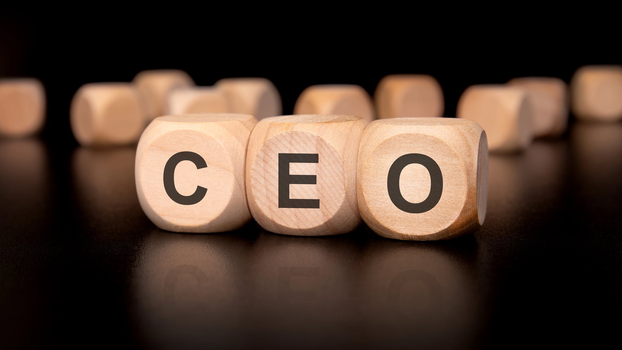 Longest-Serving CEOs in History
