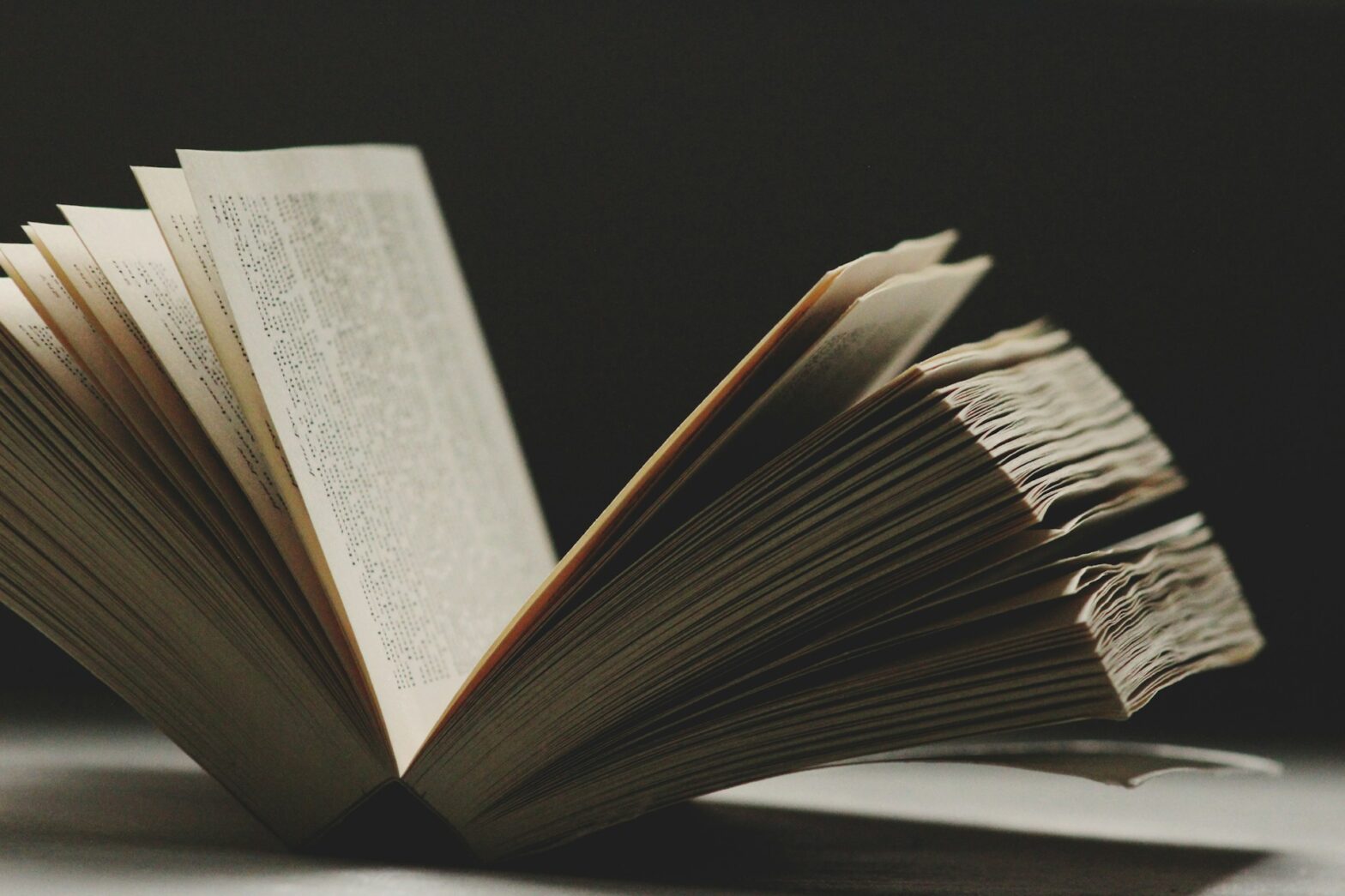 Books Written Without the Letter E