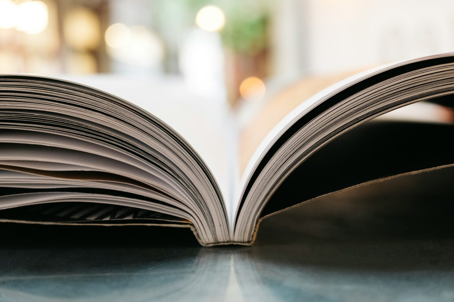 Books Written Without the Letter E
