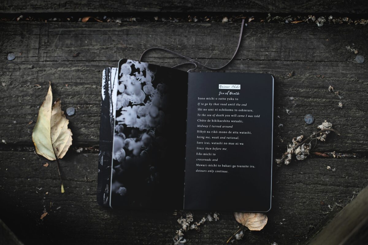 Poems That Can Be Read Backwards