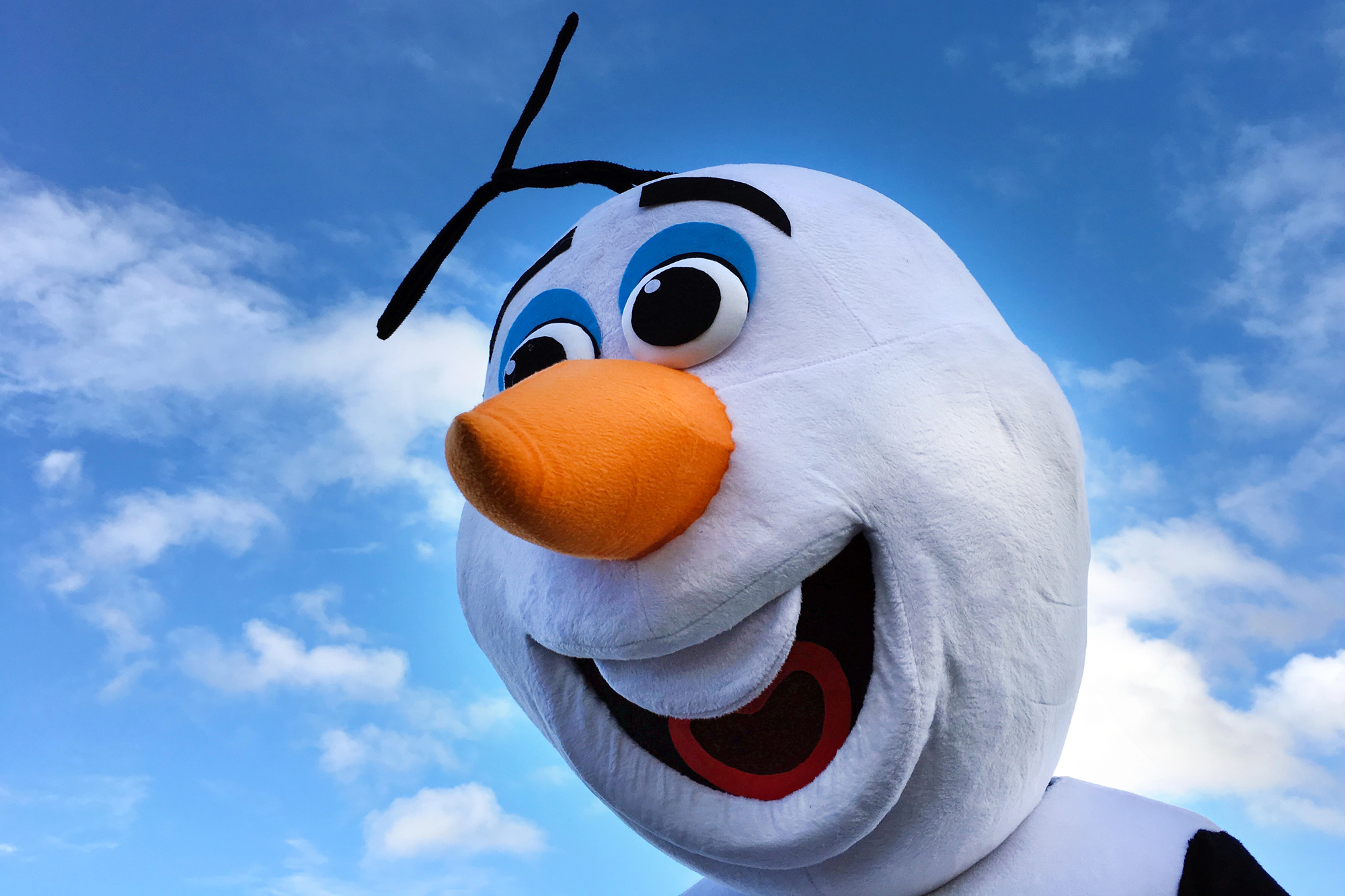 Memorable Disney Movie Animal Sidekicks