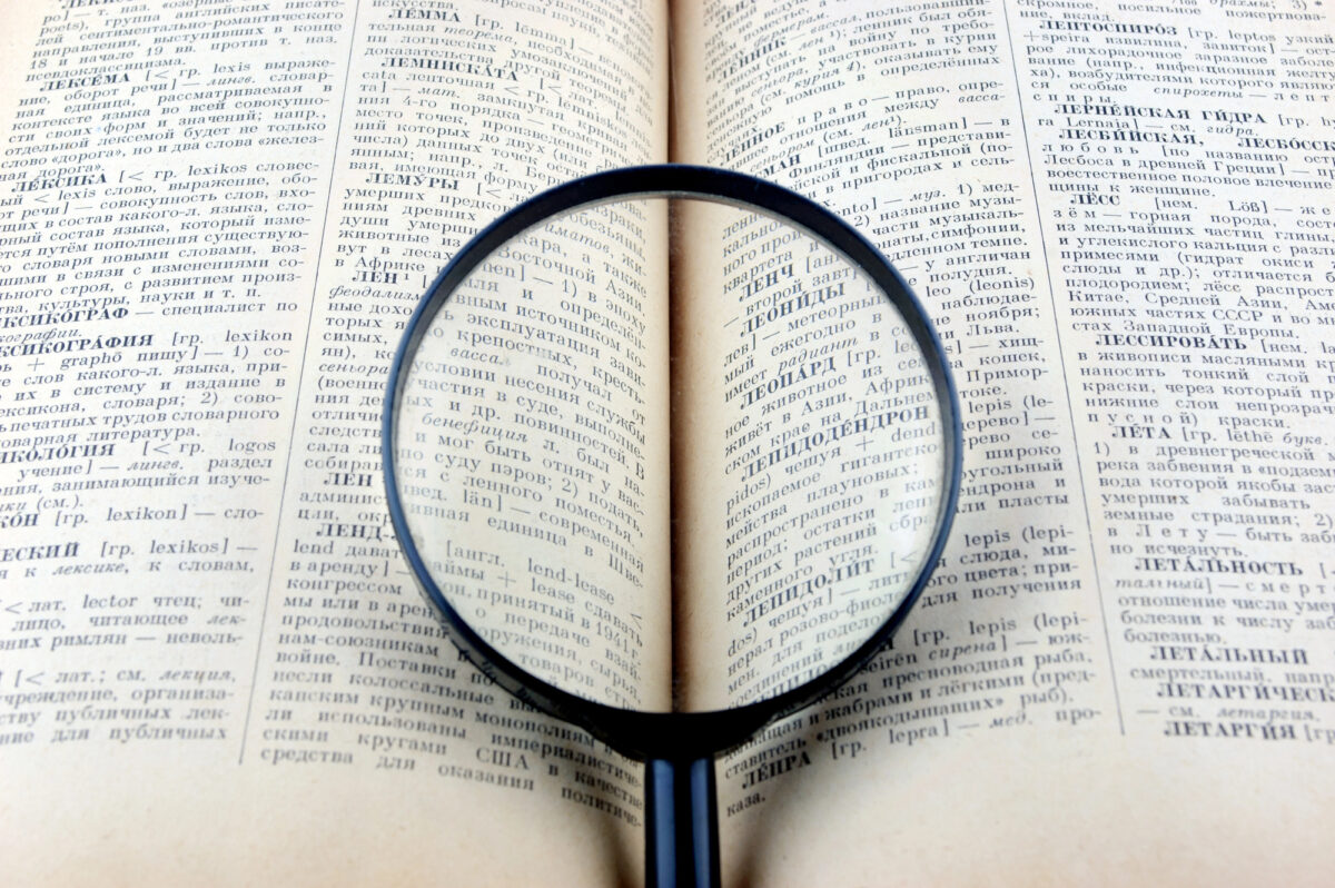 Recently Added Words to the Dictionary
