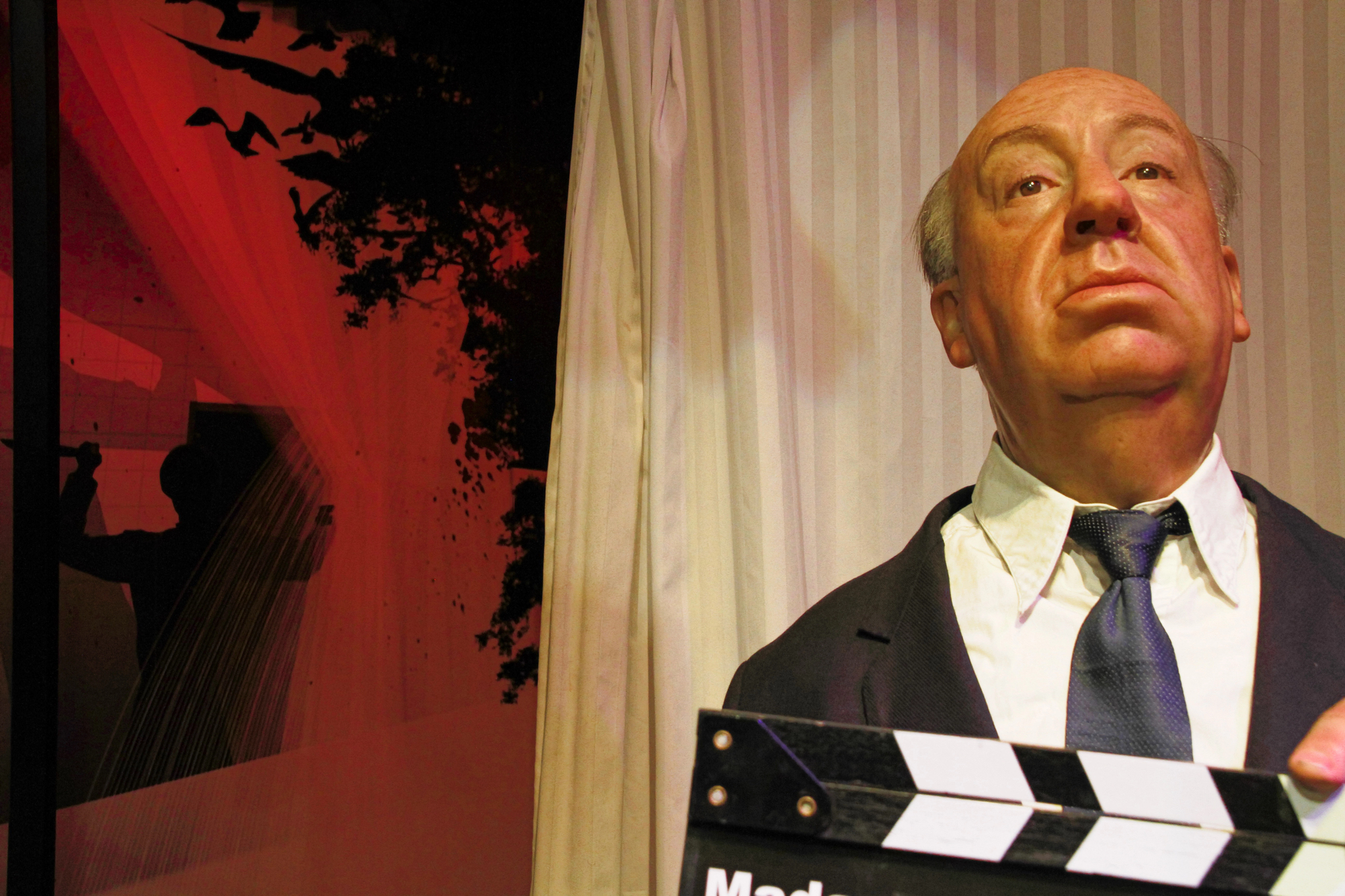Directors Who Cameo in Every Film