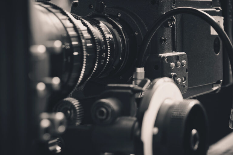 Directors Who Cameo in Every Film