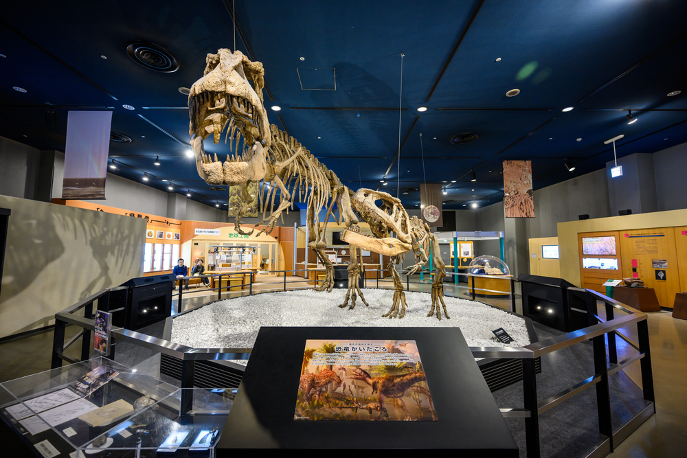 Museums That Hold Bizarre Objects