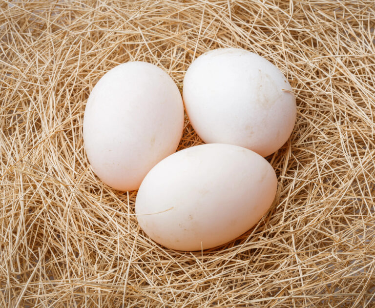 These 21 Unusual Food Ingredients Are Surprisingly Common in Other Cultures